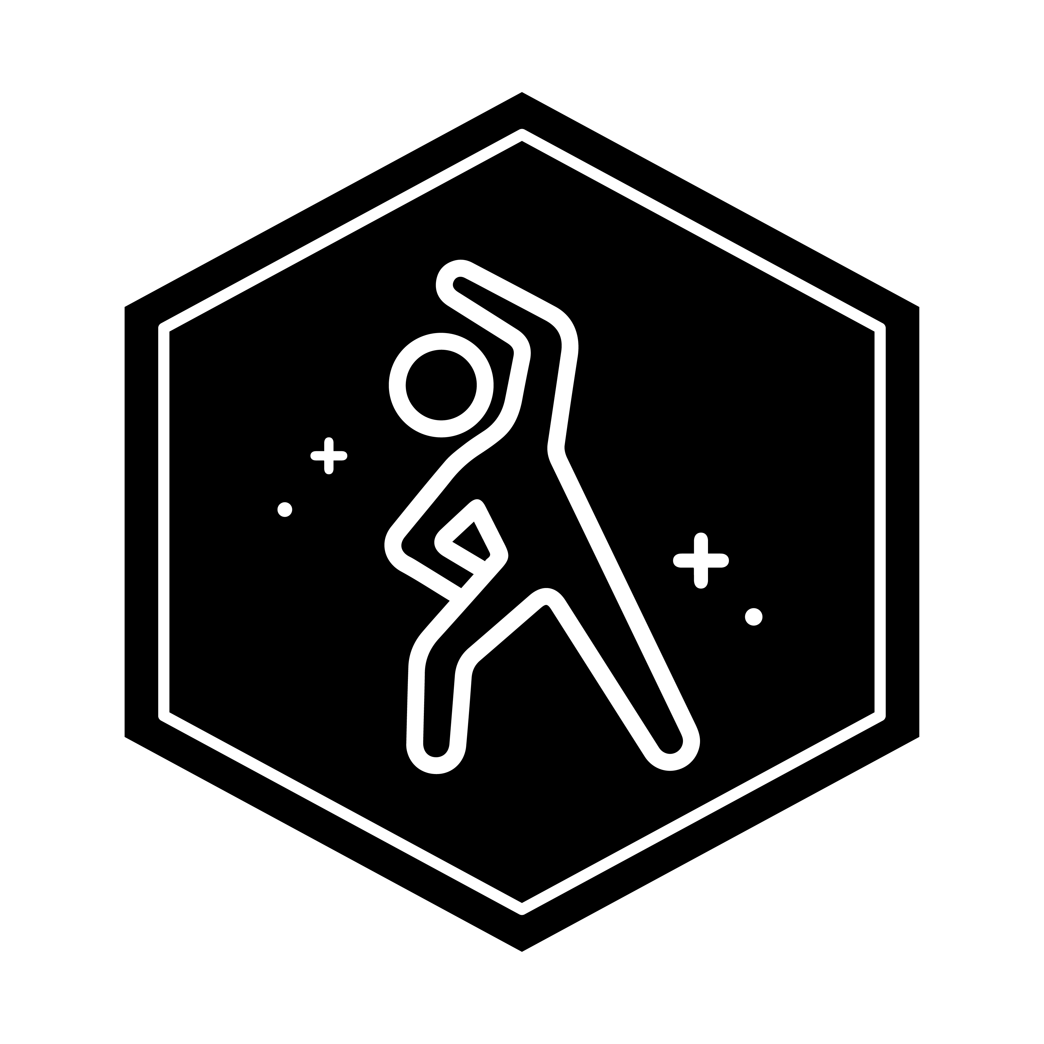 Wellness Warriors - Purdue for Life Foundation