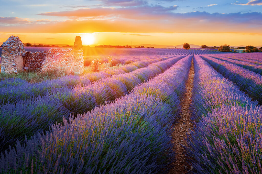 Upcoming Tours - Purdue for Life Foundation