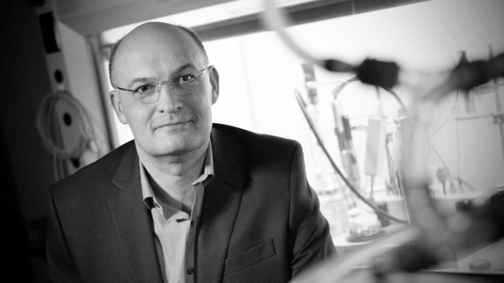 Distinguished and Named Professorship Ceremony - Purdue for Life Foundation