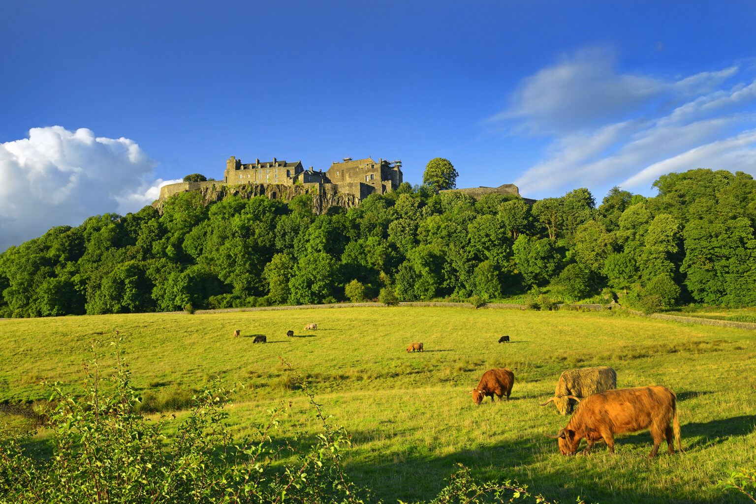 Upcoming Tours - Purdue for Life Foundation