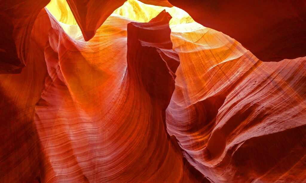 Upcoming Tours - Purdue for Life Foundation