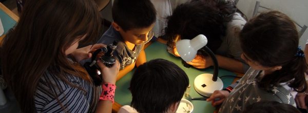 Lifelong Learning New - Purdue for Life Foundation